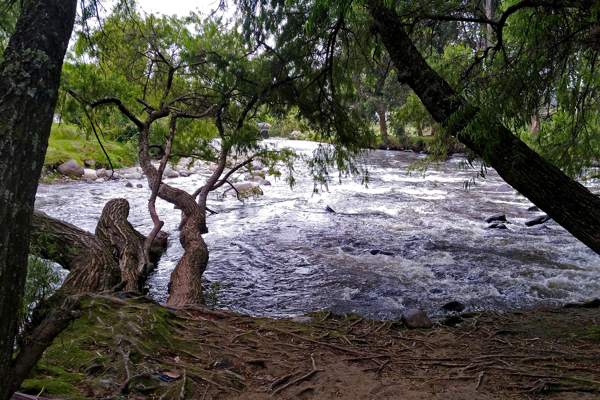 Cuenca: centro histórico, mirador e Parque Nacional Cajas